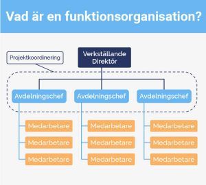 Organisationsstruktur: Beskriver organisationens formella struktur