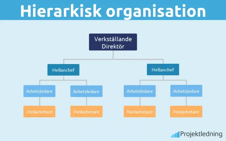 Organisationsstruktur: Beskriver organisationens formella struktur