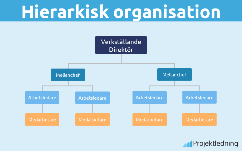 Organisationsstruktur: Beskriver organisationens formella struktur