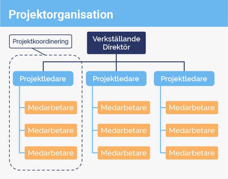 Projektorganisation: Avgörande för att kvalitetssäkra leveranser i projekt!