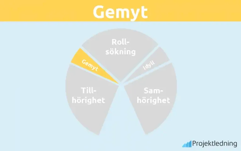 FIRO-Modellen: Skapa ett bra team med hjälp av FIRO-Modellen