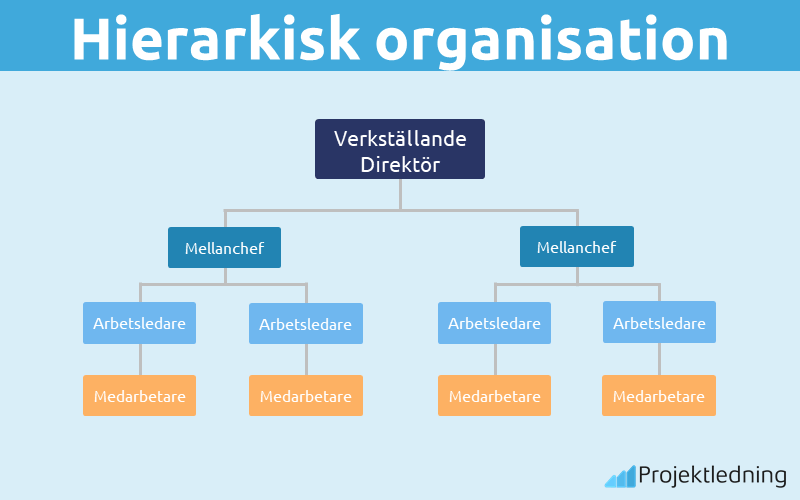Organisationsformer: Ta reda på de olika typerna av organisationer